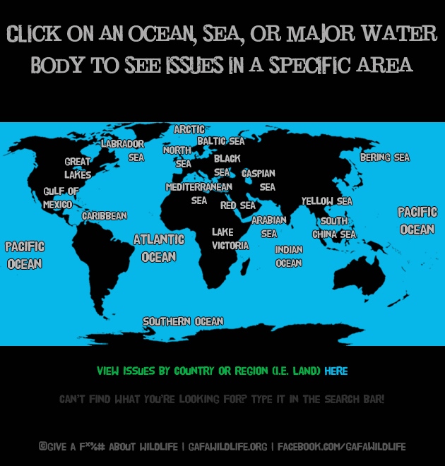 Oceans & Major Water Bodies | GAFA Wildlife